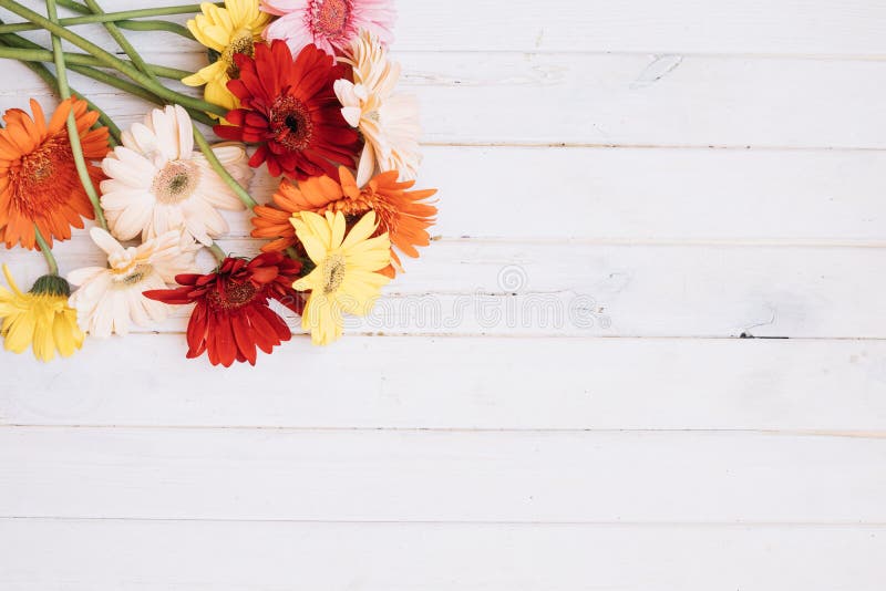 Bunch Different Flowers. High Quality Photo Stock Image - Image of ...