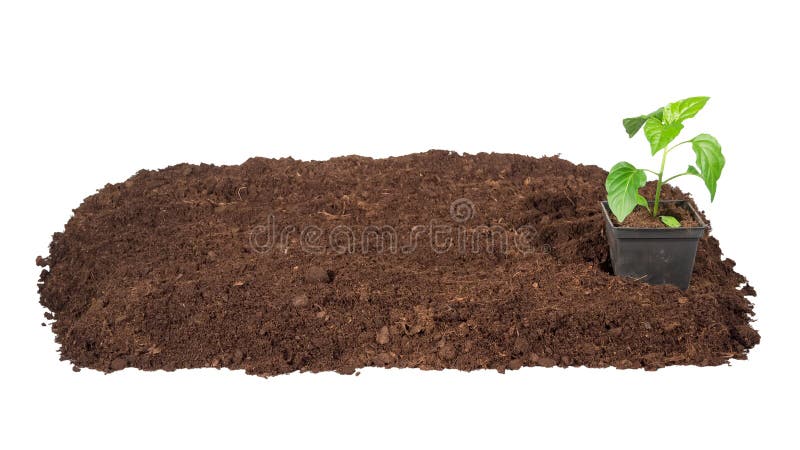 Bunch dirty earthy peat stock photo. Image of isolated - 53001598