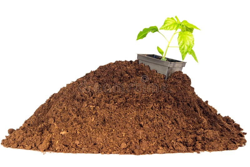 Bunch dirty earthy peat stock photo. Image of isolated - 53001598