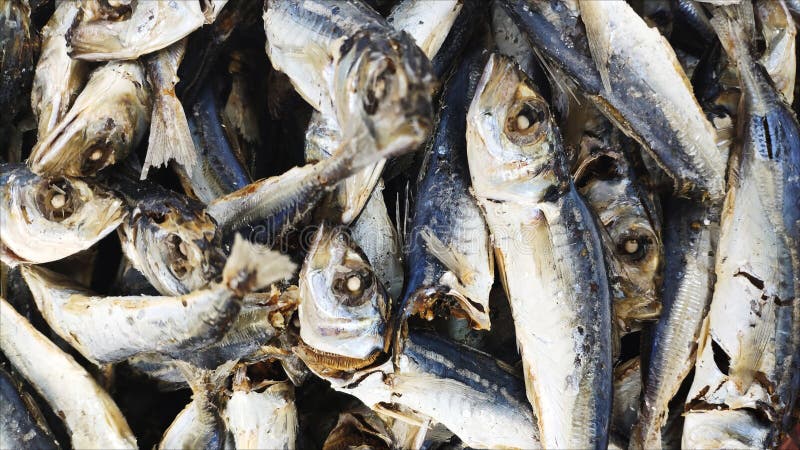 A Bunch of Dried Fish in the Chinese Market Stock Image - Image of life ...
