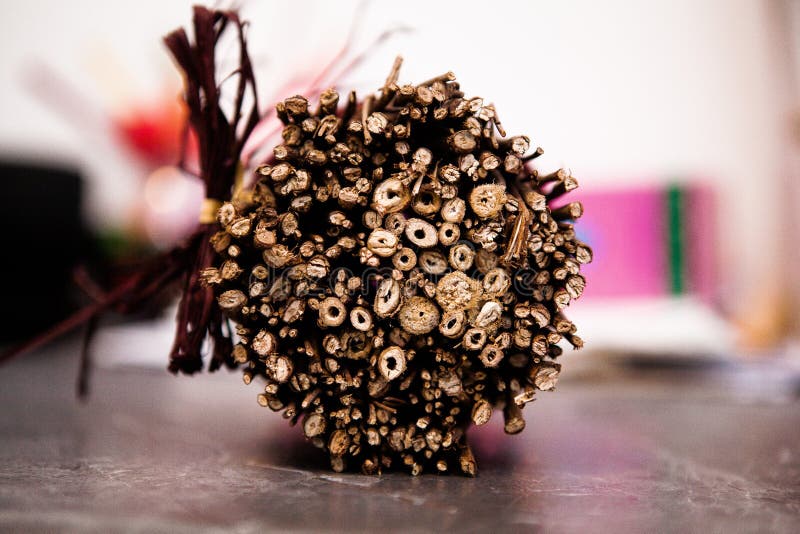 Decorative Red Branches with Leaves in a Vase on a White Background ...