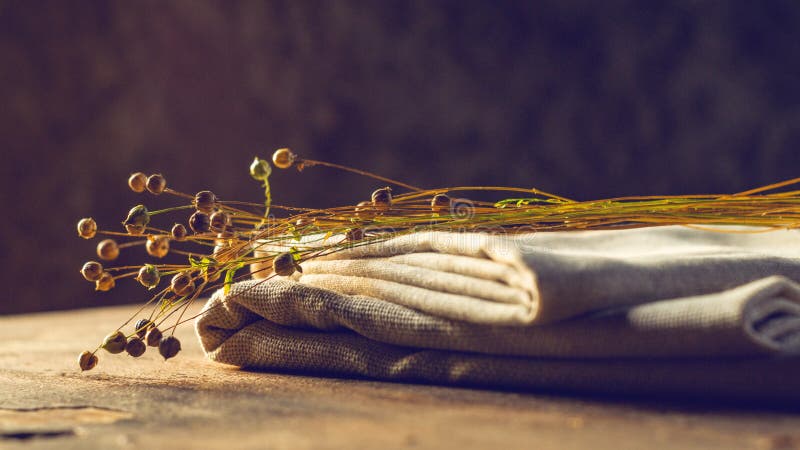 Bunch of Dry Flax Plants on Linen Cloth Stock Image - Image of ...