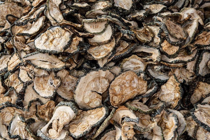 Dry squash texture stock image. Image of texture, brown - 190052183