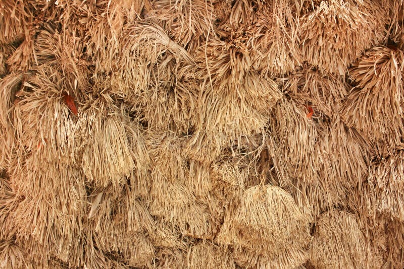 Bunch of dry straw texture stock photo. Image of farm - 65693126