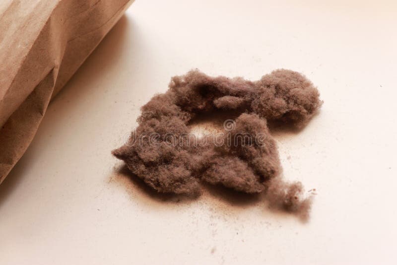 Bunch of Dust and One Paper Bag Stock Image - Image of ball, bunch ...