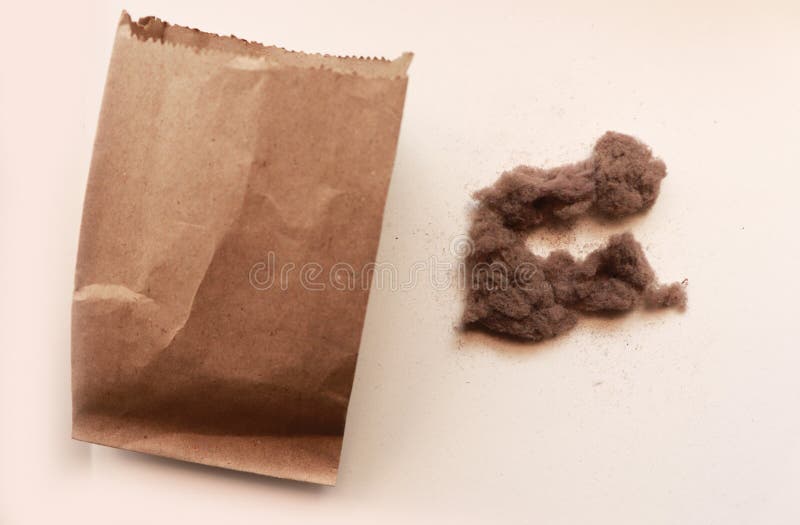 Bunch of Dust and One Paper Bag Stock Photo - Image of gesture, hair ...