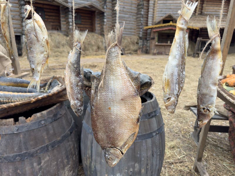 A Bunch of Fish Hanging from a Rope Stock Photo - Image of healthy ...