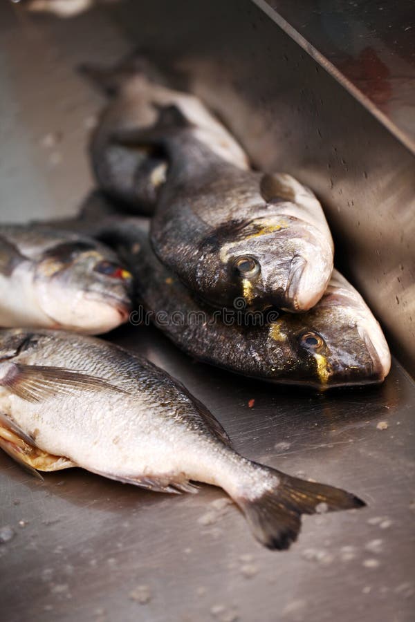 Bunch of fish stock photo. Image of fresh, cooking, nature - 33068836