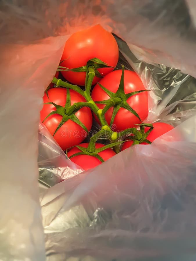 A Bunch of Red Tomatoes Packed in Plastic Stock Photo - Image of earth ...