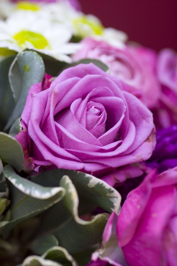 Bunch of flowers stock photo. Image of anniversary, daisy - 11500308