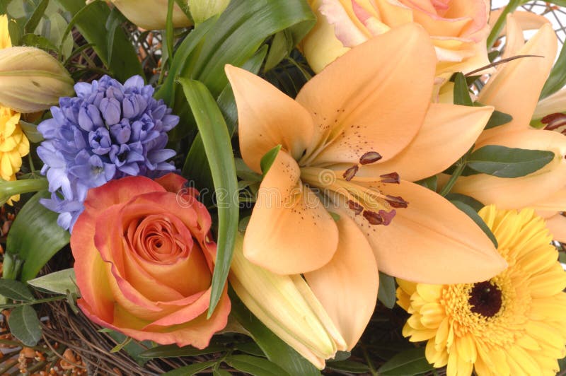 Bunch of flowers stock photo. Image of greeting, leaf - 13319082