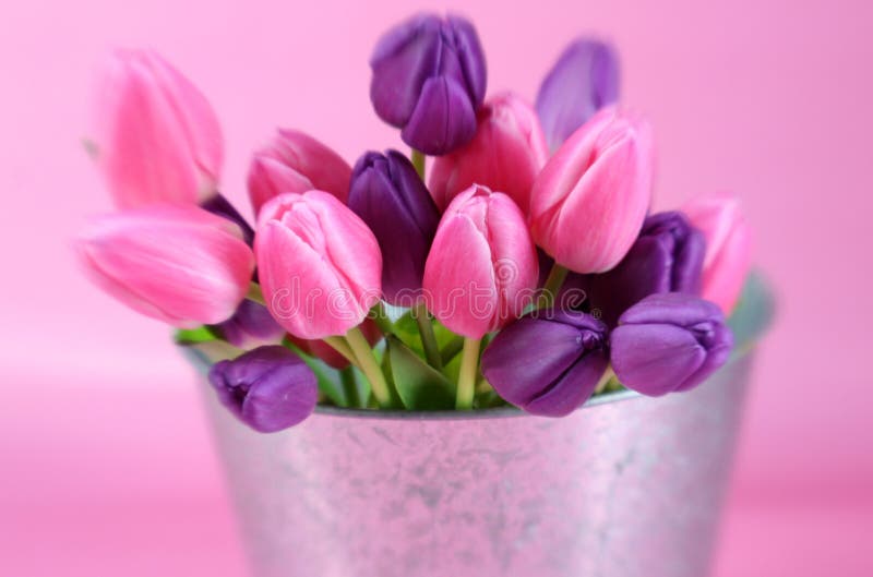 Bunch of Flowers stock photo. Image of bunch, focus, grow - 4998890