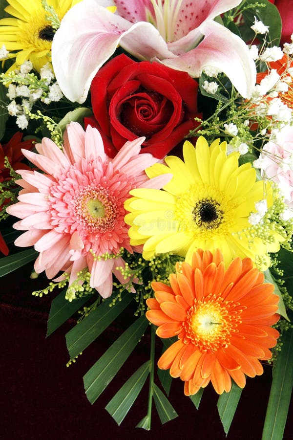 A bunch of flowers. stock image. Image of bunch, house - 5487117