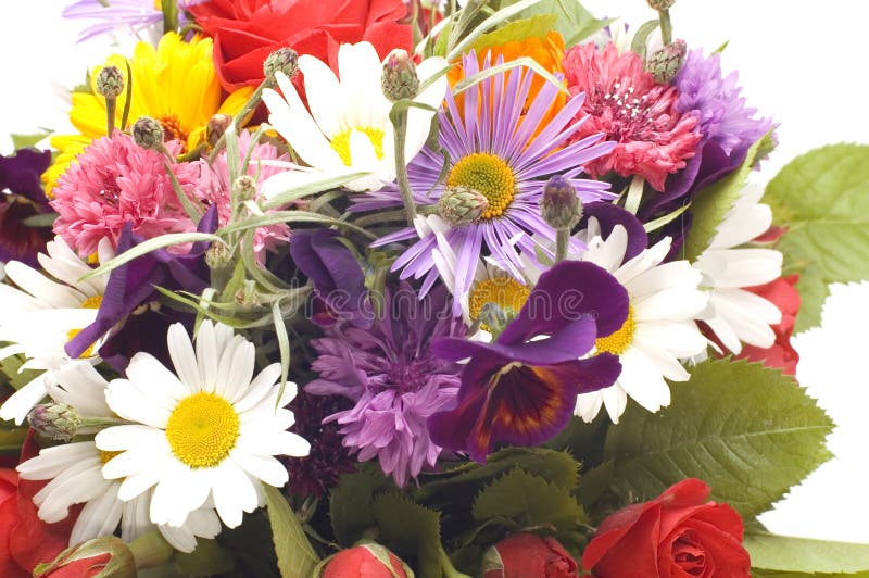 Bunch of flowers stock image. Image of nosegay, flowers - 5530121