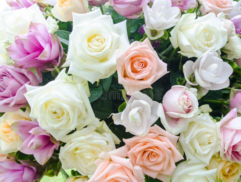 Bunch of Flowers Background Stock Image - Image of floral, festive ...