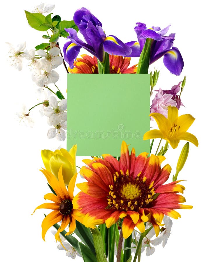 Bunch of Flowers and Blank for Note Paper Stock Image - Image of ...