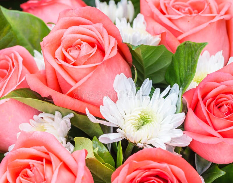 Bunch of flowers stock image. Image of arrangement, bouquet - 66092303