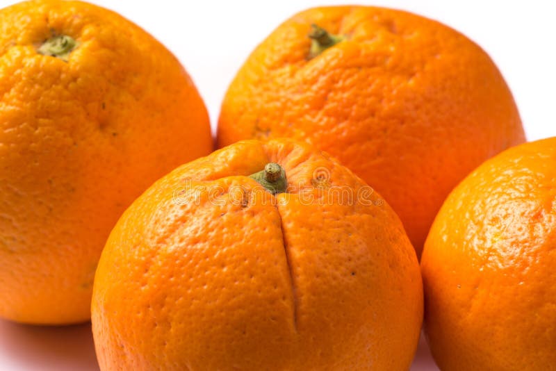 Bunch of Four Organic Orange Oranges Close Up Stock Image - Image of ...