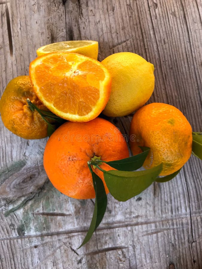 A Bunch of Fresh Agrumes Freshly Collected from the Trees in Puglia ...