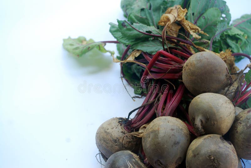 A Bunch of Fresh Beets, with Earthy Roots and Large Green Leaves ...