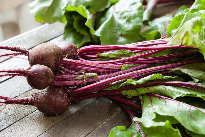Bunch Fresh Beets Leaves Boards Stock Photos - Free & Royalty-Free ...