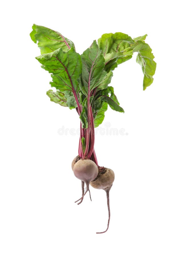 Bunch of Fresh Beets with Leaves on White Stock Image - Image of ...