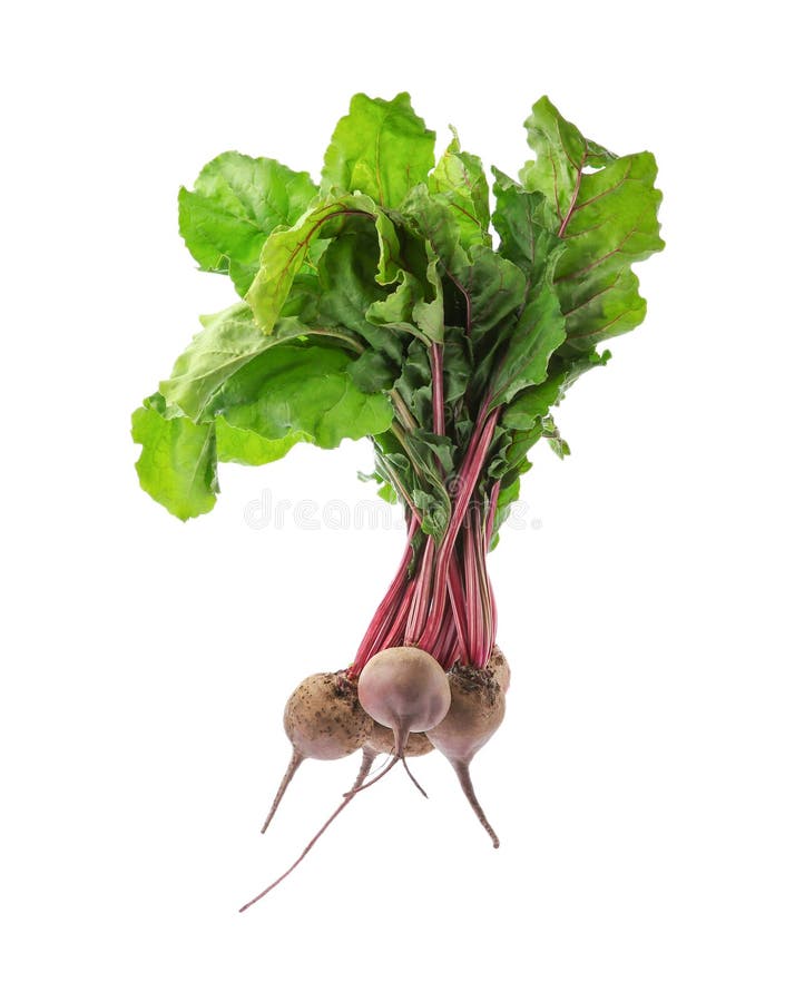 Bunch of Fresh Beets with Leaves on White Stock Photo - Image of crop ...