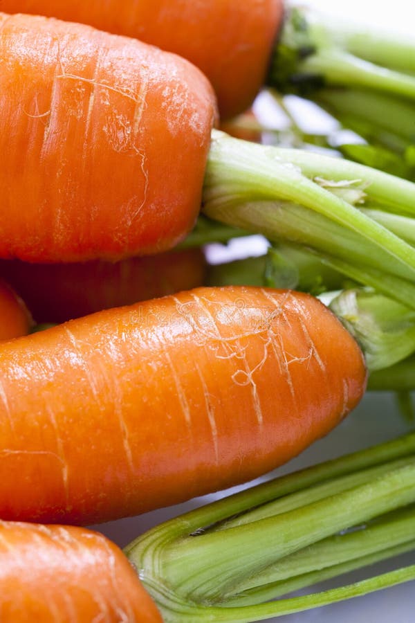 Bunch of Crunchy Carrots Close-up Stock Image - Image of food ...