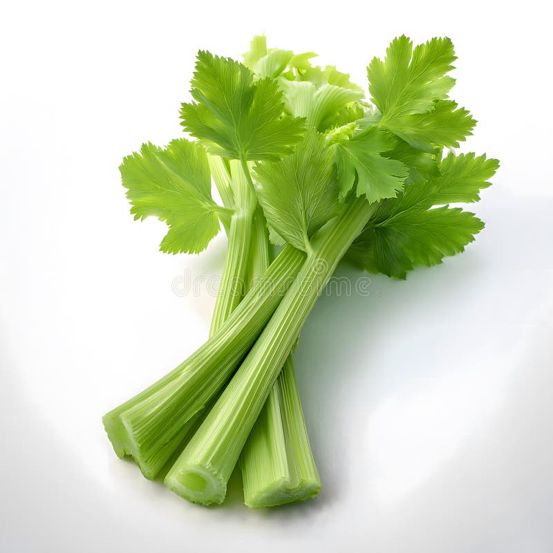 A Bunch of Fresh Celery Stalks with Leaves, Displaying a Light Green ...