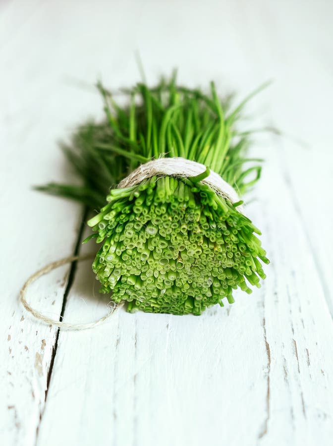 A bunch of fresh chives stock photo. Image of onion, natural - 69193828