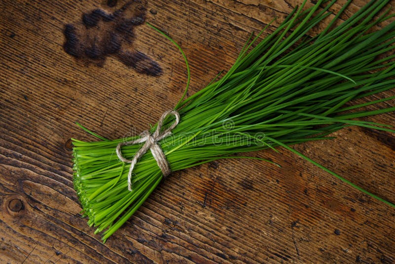 A bunch of fresh chives stock image. Image of food, ingredient - 30184757