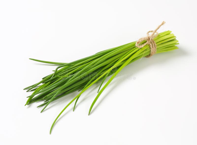 Fresh chives bunch stock photo. Image of aromatic, condiment - 15331166