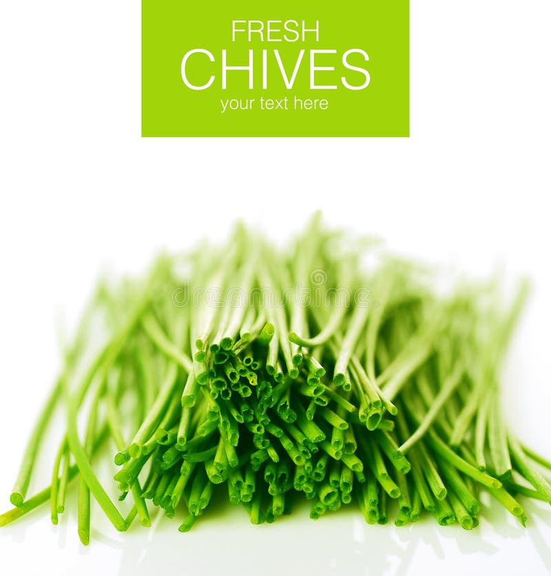 Fresh Chives on White Background Stock Image - Image of natural, glossy ...