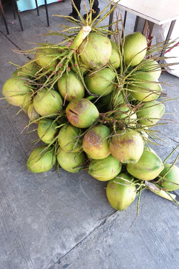 A Bunch Of Fresh Ripe Coconuts Stock Photo - Image of coco, coconuts ...