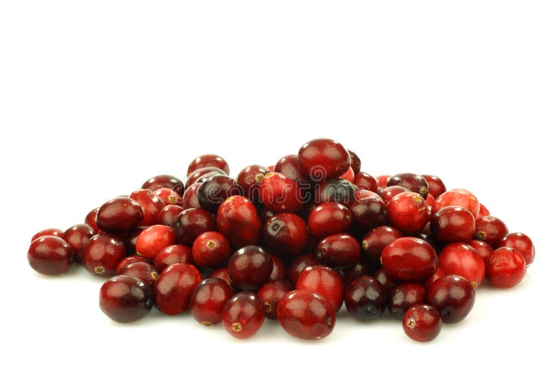 Cranberries stock photo. Image of eating, food, white, freshness - 239864