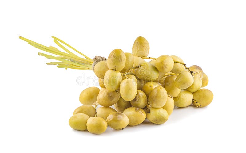 Bunch of Fresh Date Fruit an Isolated on White Background, Clipping ...