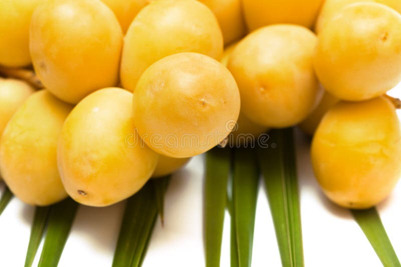 Bunch of fresh dates stock photo. Image of palm, studio - 16121178