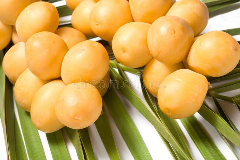 Bunch of fresh dates stock photo. Image of fresh, fruit - 16121278
