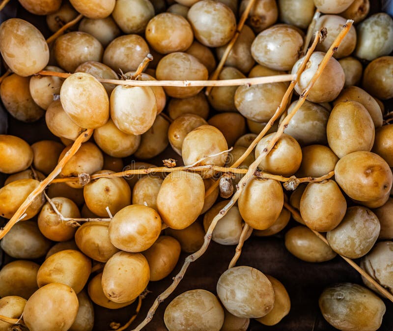 Bunch of Fresh Dates for Sale on a Farmers Market Stock Photo - Image ...