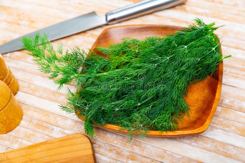 Fresh dill grass stock photo. Image of green, ripe, meal - 238083566