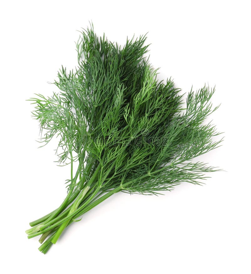 Bunch of Fresh Dill Isolated on White Stock Photo - Image of flavoring ...