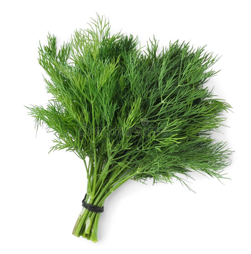 Bunch of Fresh Dill Isolated on White, Top View Stock Image - Image of ...