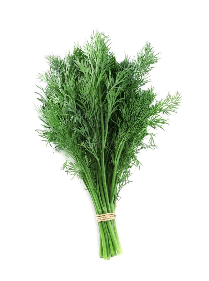 Bunch of Fresh Dill on White Background, Top View Stock Photo - Image ...