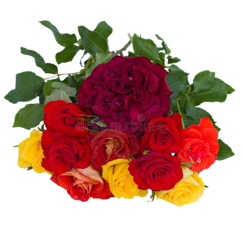 Bunch of Fresh Pink Roses Close Up Stock Image - Image of birthday ...