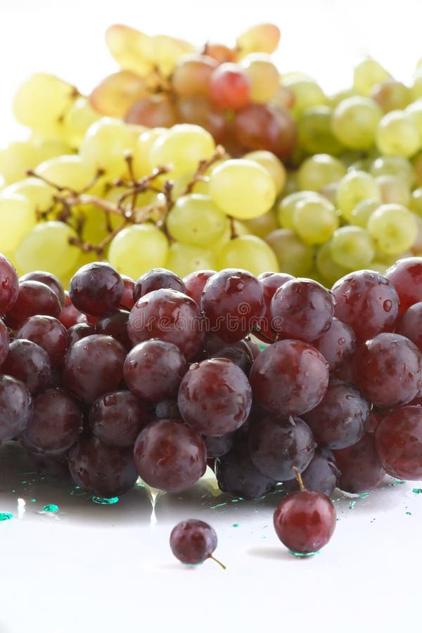 Bunch of fresh grapes stock photo. Image of autumn, nutrition - 10951362