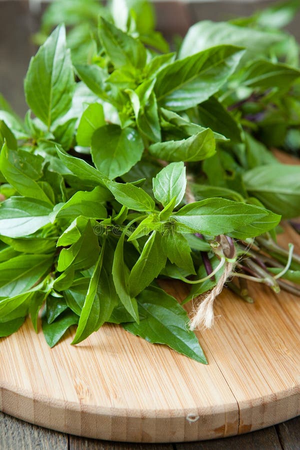 Bunch Fresh Beets on the Boards Stock Photo - Image of fresh, green ...