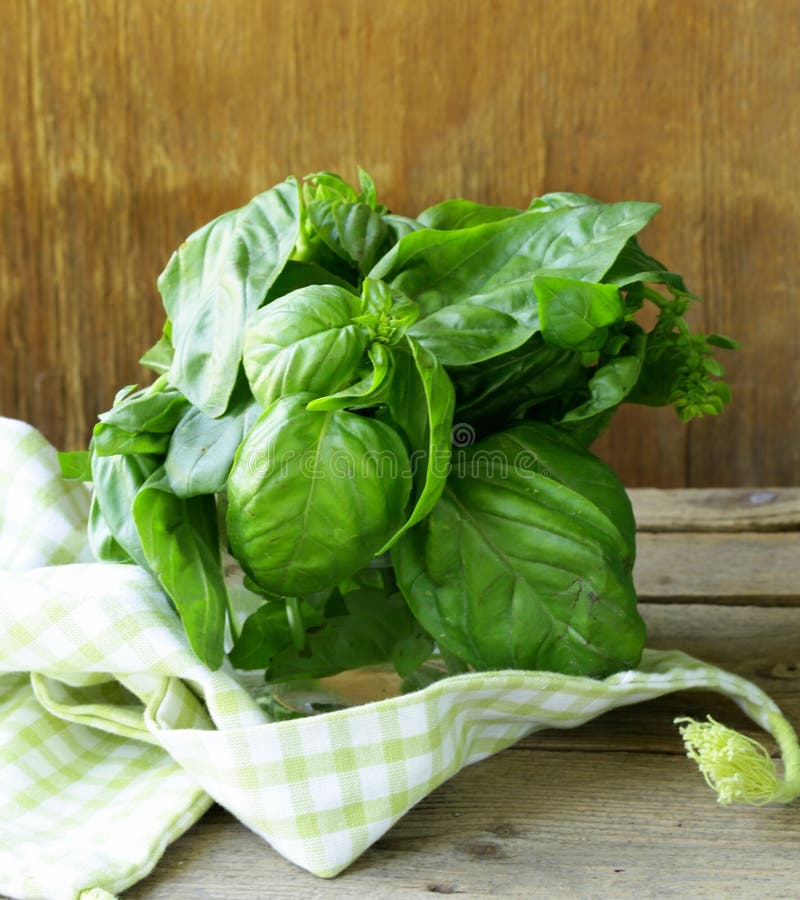 Bunch of fresh green basil stock image. Image of wooden - 32152063