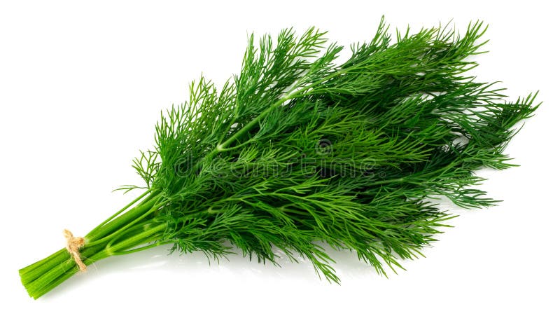 Bunch Fresh Green Dill Isolated on White Background Stock Photo - Image ...