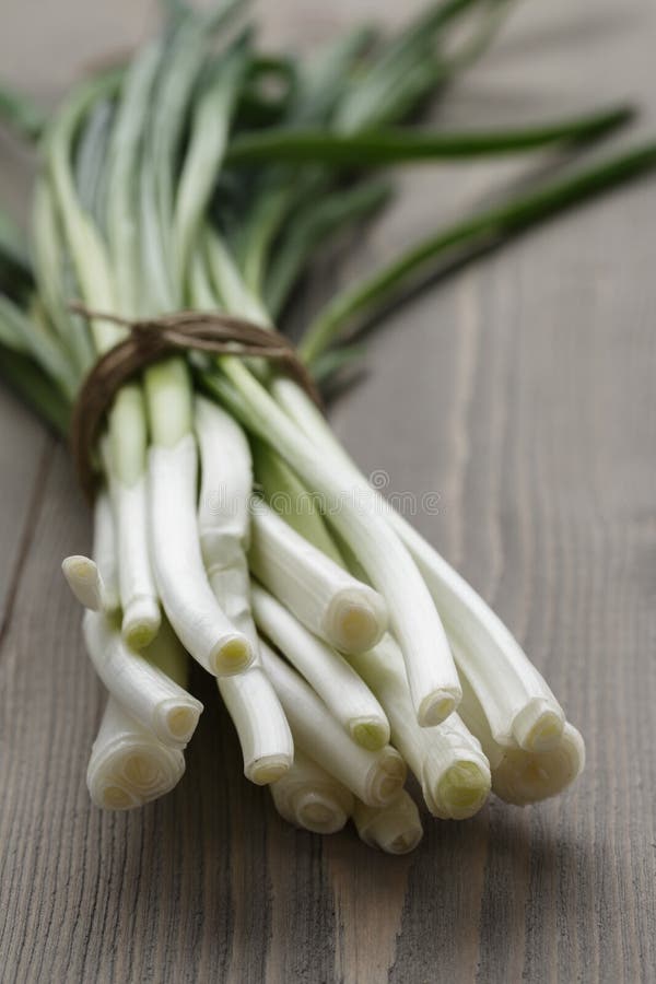 Bunch of Fresh Green Onions Stock Image - Image of wooden, nature: 39006109