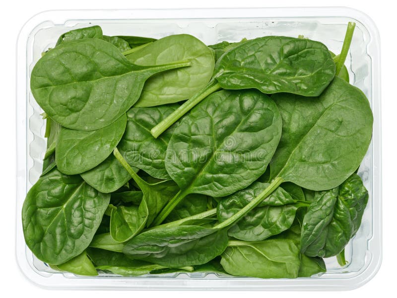 Bunch of Fresh Green Spinach Leaf in Plastic Box Stock Photo - Image of ...